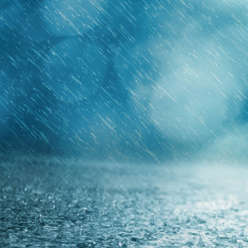 Waiting for the “Former Rain” | Bridges for Peace